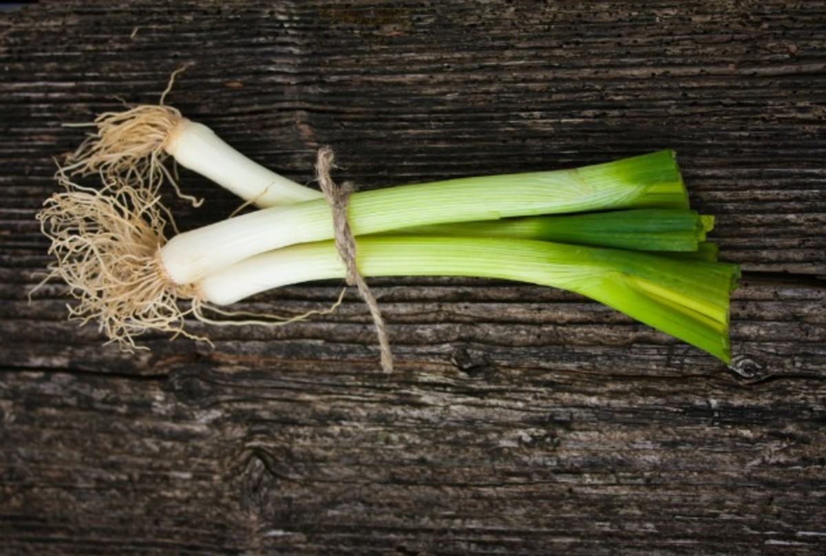 Veggie Highlight: Leeks | New City Neighbors